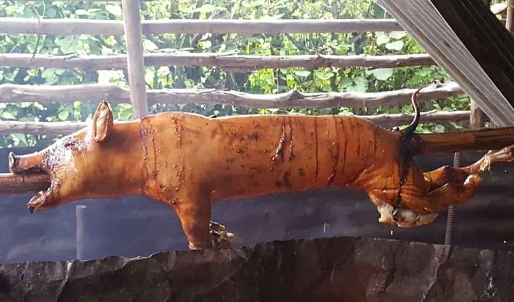Puerto Rican Lechon Asado